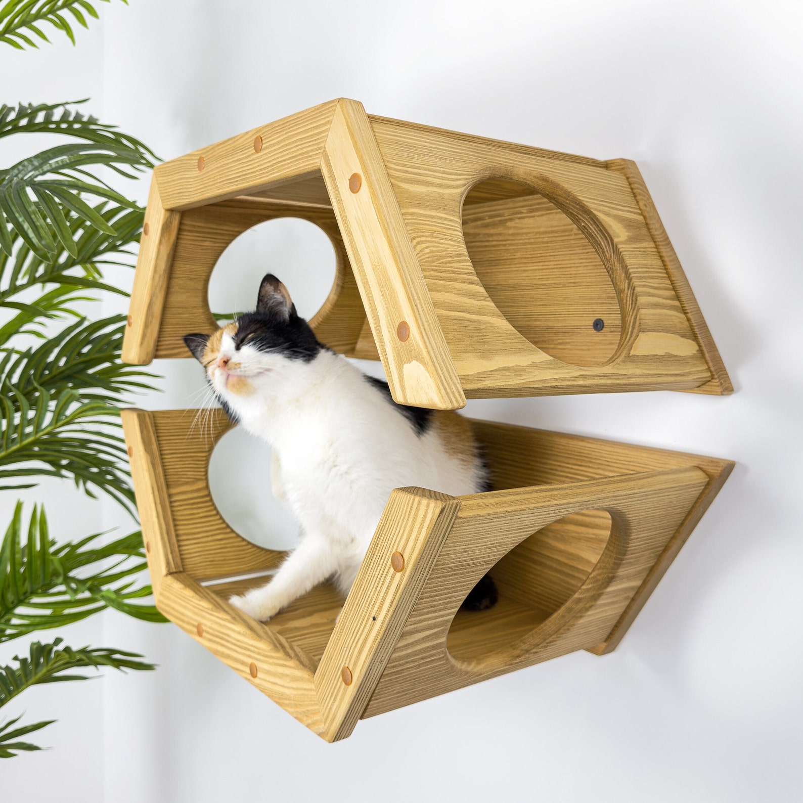 Pine Wood Cat Hexagon Shelves: Wall Mounted Cat Perch - Etsy