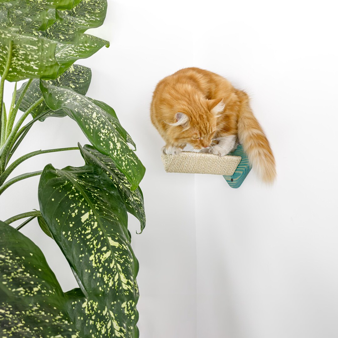 Cat Floating Steps, Modern Wall Steps, Scratching Post, Climbing Ladder ...