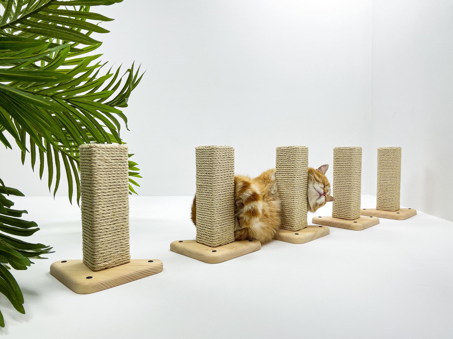 Cat Floating Steps Tree Wall Furniture Bed, Shelves for Wall Climb Pole ...