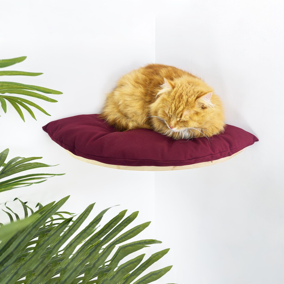 Pine Wood Cat Wall Bed: Comfy Corner Cat Shelf With Pillow - Etsy