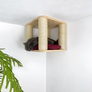 Cat Ceiling House Comfortable Wall Mounted Furniture Rustic Natural ...