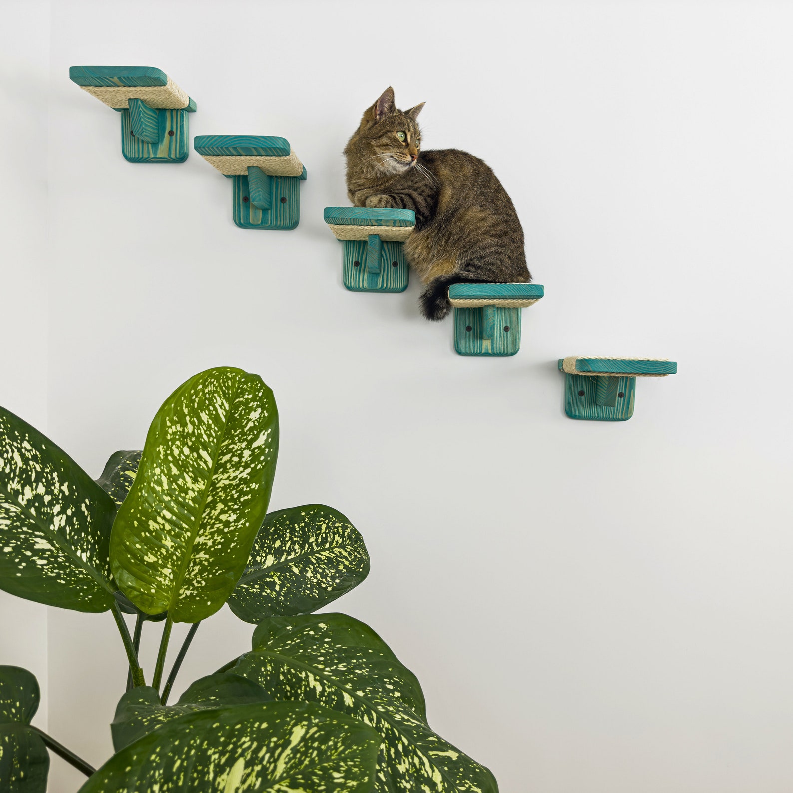 Cat Floating Steps Modern Cat Tree Wall Hanging Tree Furniture for Cats ...