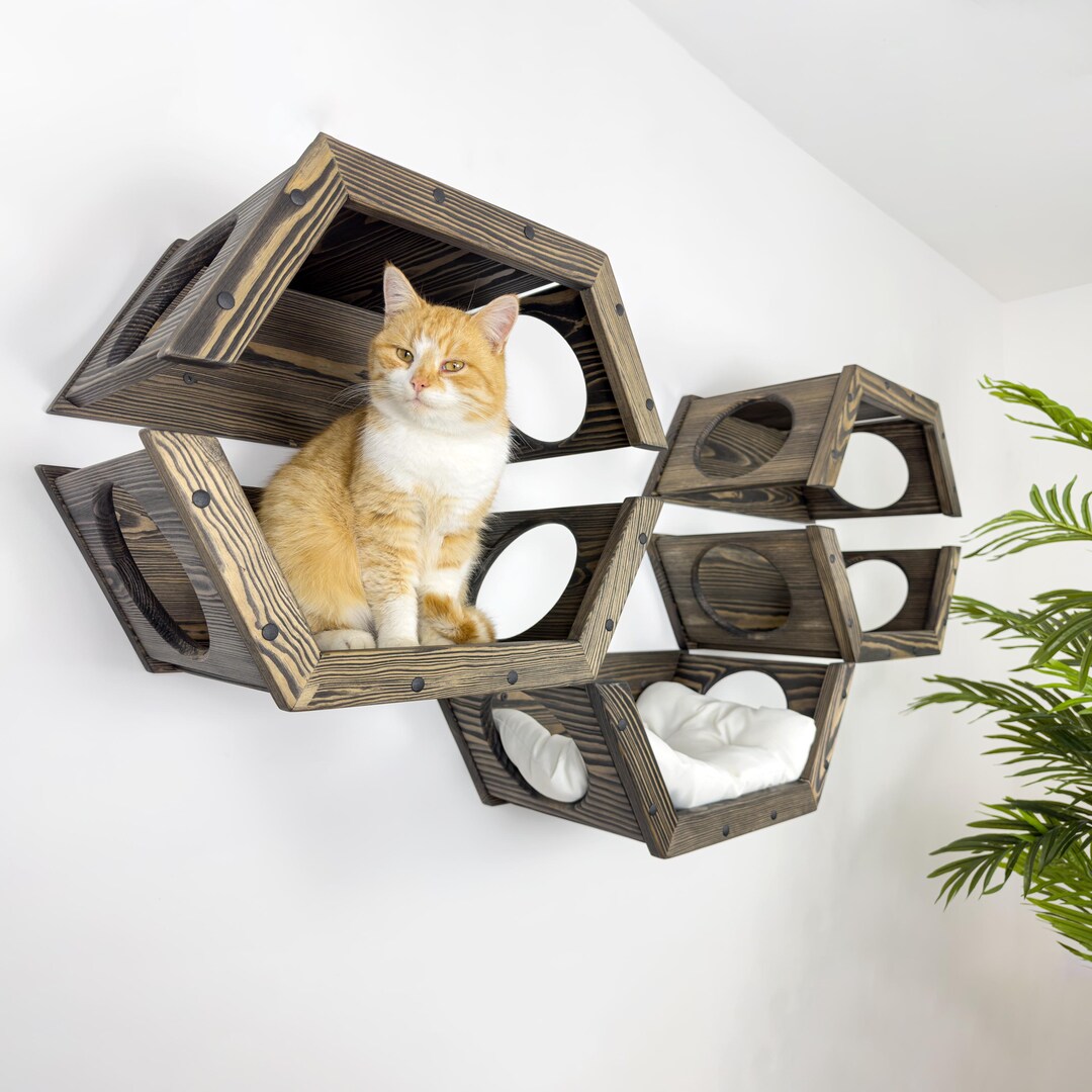 Hexagon Cat Wall Mount Bed Set, Cat Furniture, Kitten Shelves, Natural ...