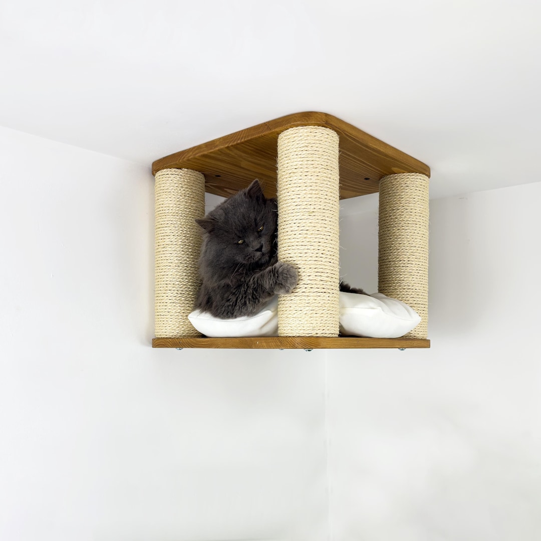 Cat Ceiling House Furniture, Shelves for Wall Climb Pole Modern Cat ...