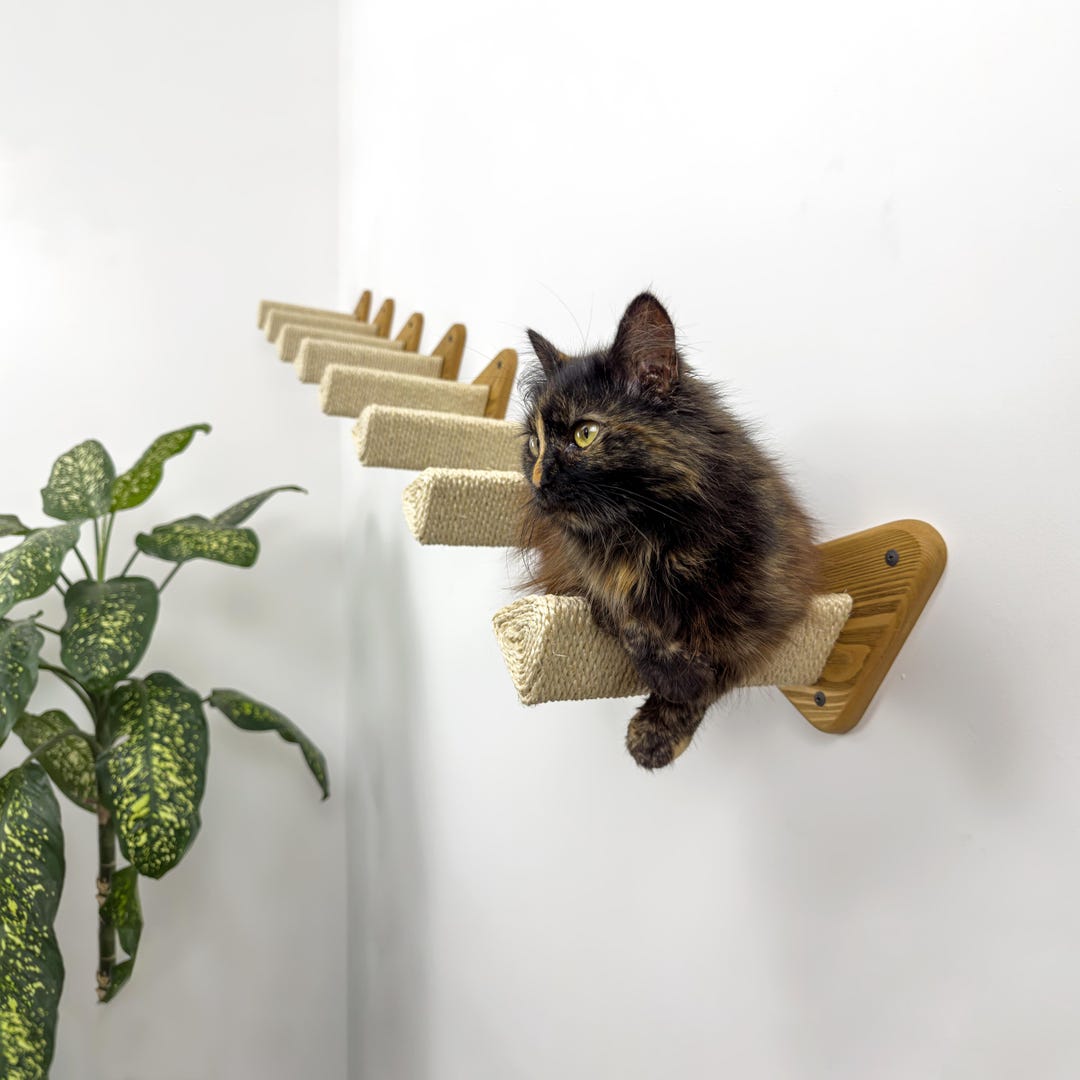 Pine Wood Cat Wall Steps: Modern Floating Cat Ladder With Scratcher - Etsy