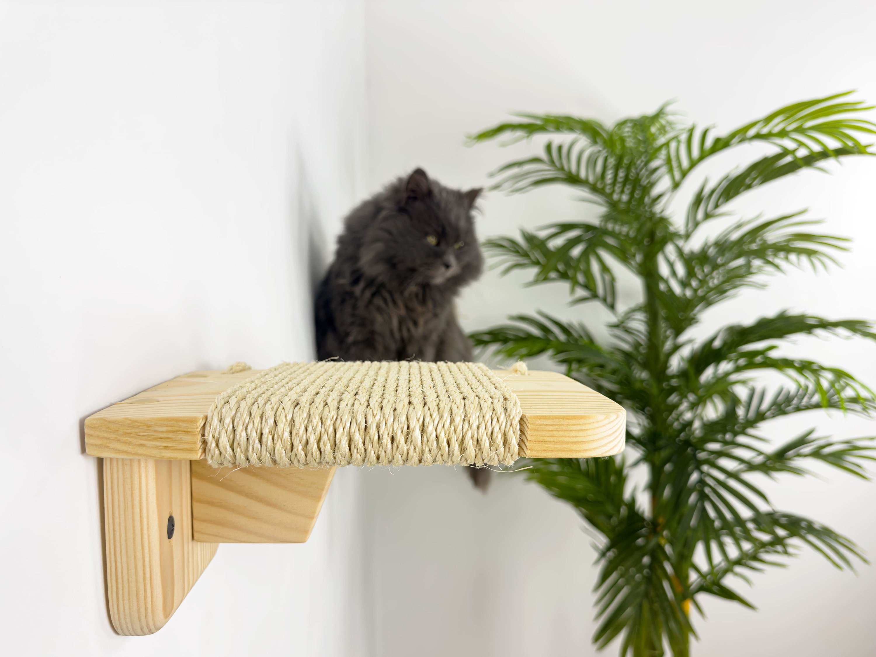 Cat Bridge Play Furniture Wall Walkway for Cats Clear Color Modern Pet ...