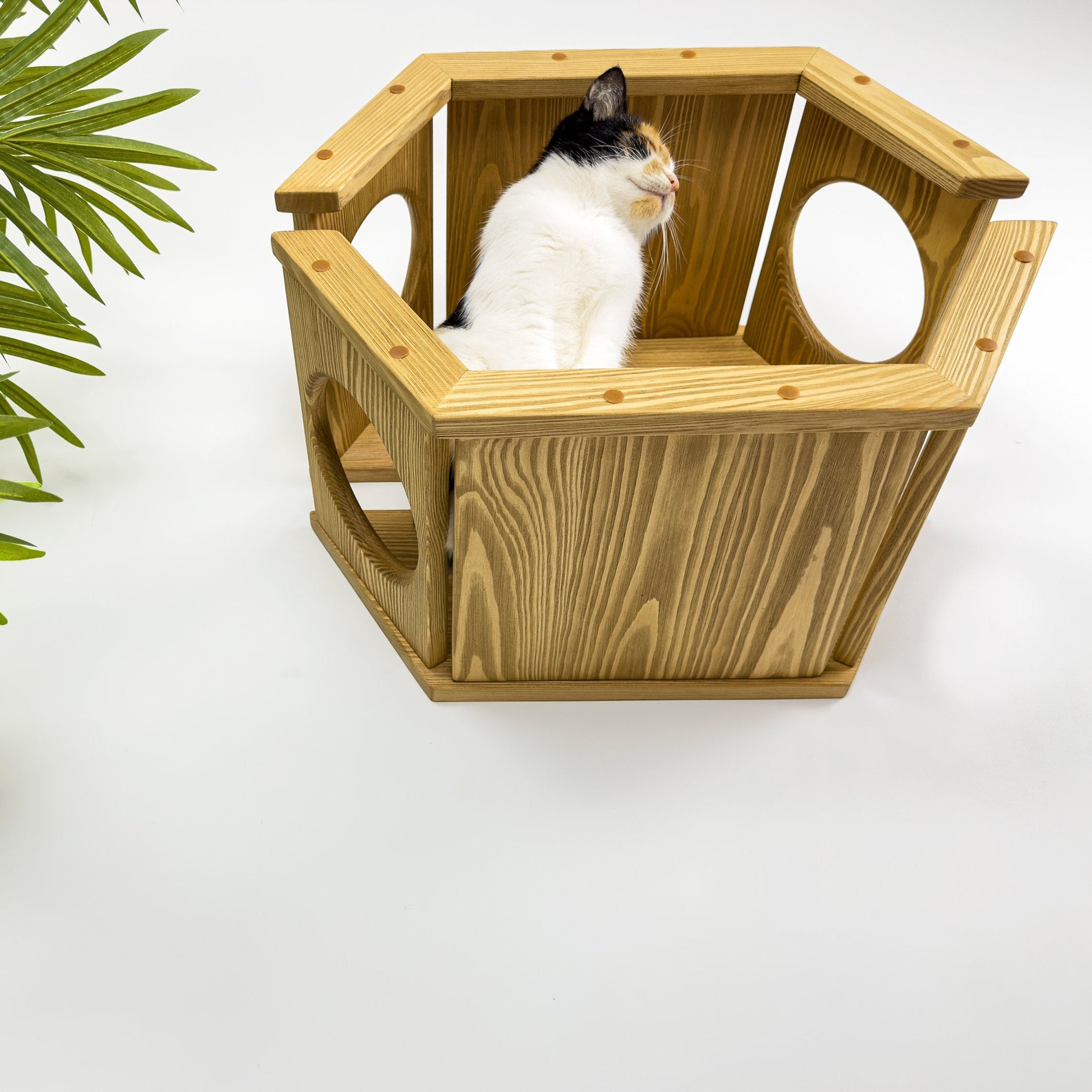 Pine Wood Cat Hexagon Shelves: Wall Mounted Cat Perch - Etsy
