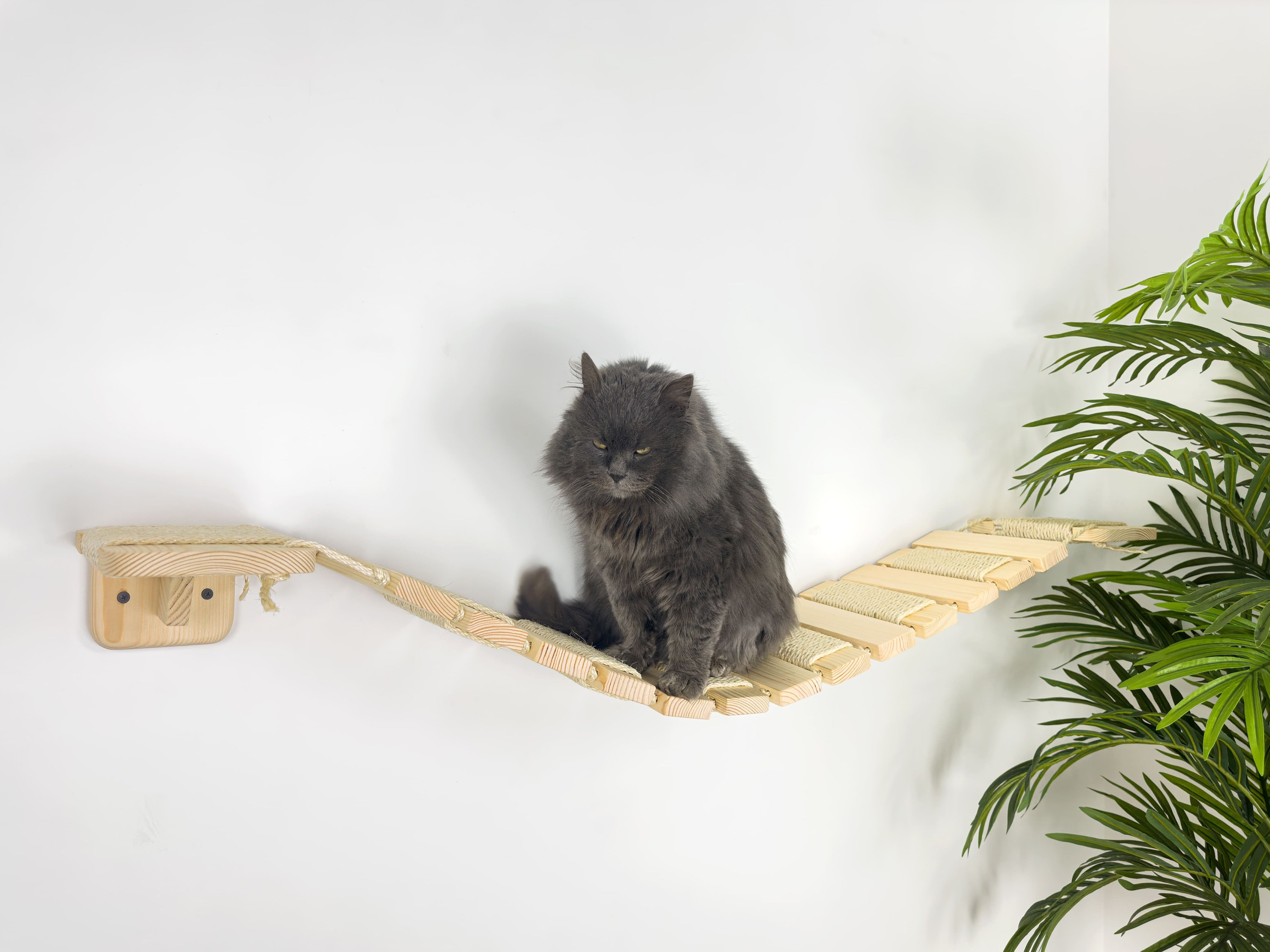Cat Bridge Play Furniture Wall Walkway for Cats Clear Color Modern Pet ...