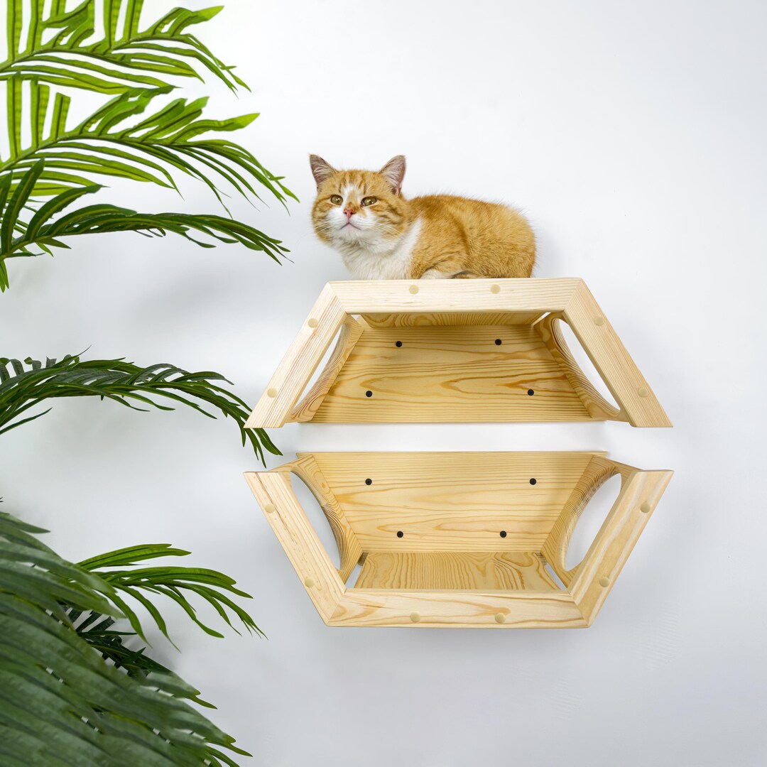 Cat Hexagons - Cat Wall Furniture, Cat Wall Climbing Shelves, Hexagon ...