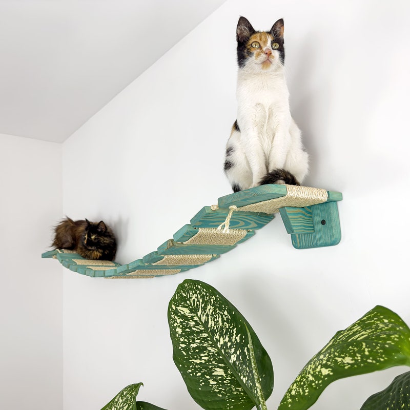 Cat Climbing Wall - Etsy