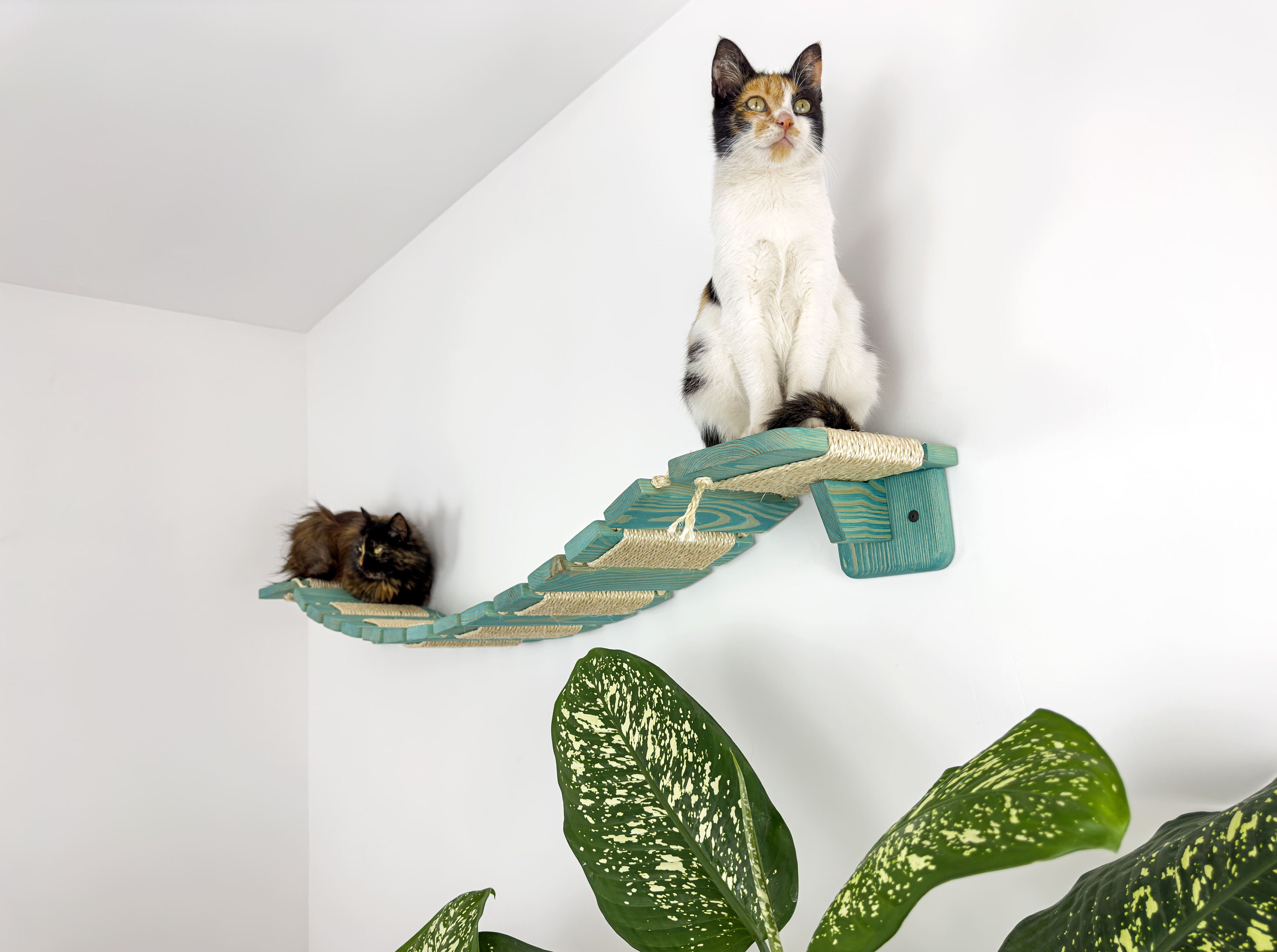 Cat Bridge Play Furniture Wall Walkway for Cats Clear Color Modern Pet ...