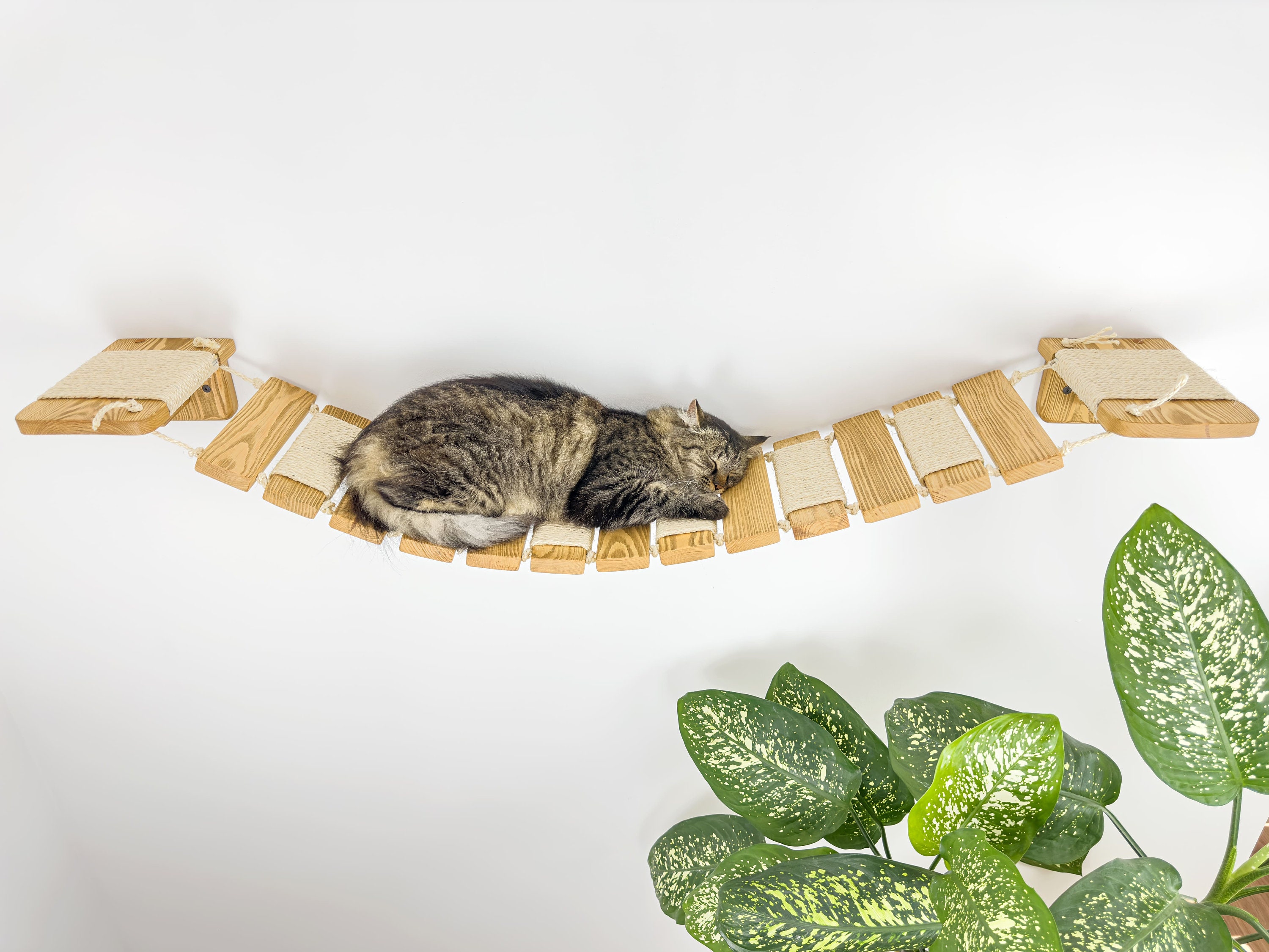 Cat Bridge Play Furniture Wall Walkway for Cats Clear Color Modern Pet ...