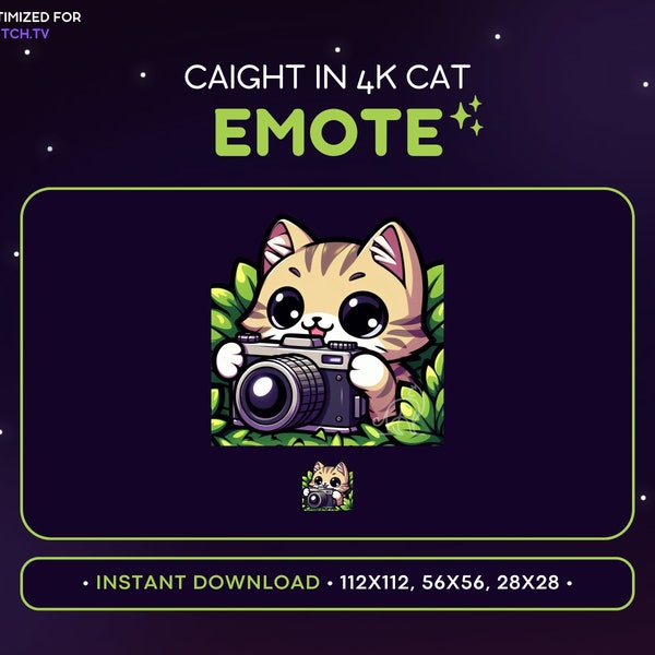 Camera Discord Emoji - Etsy