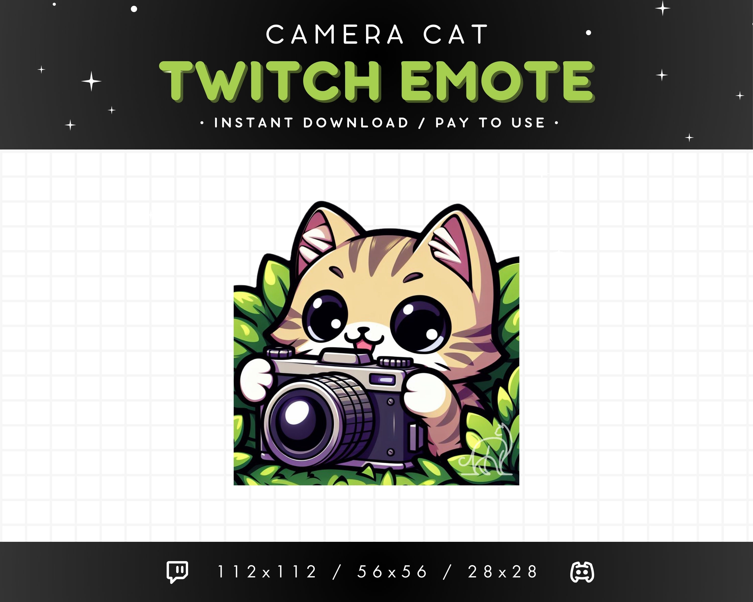 Funny Cat Twitch Emote Camera Cat Emote, Cat Discord Emote, Gaming ...