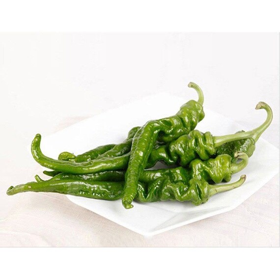 Growing Unique Twisted Peppers: A Guide to Cultivating Funky, Flavorful ...
