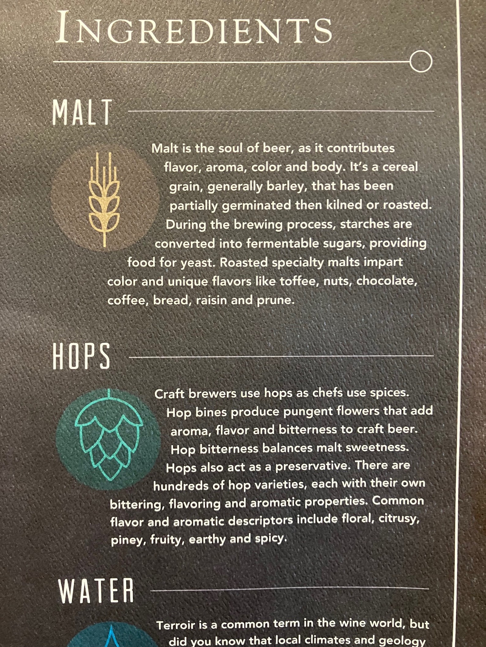 Craft Beer Poster - Etsy