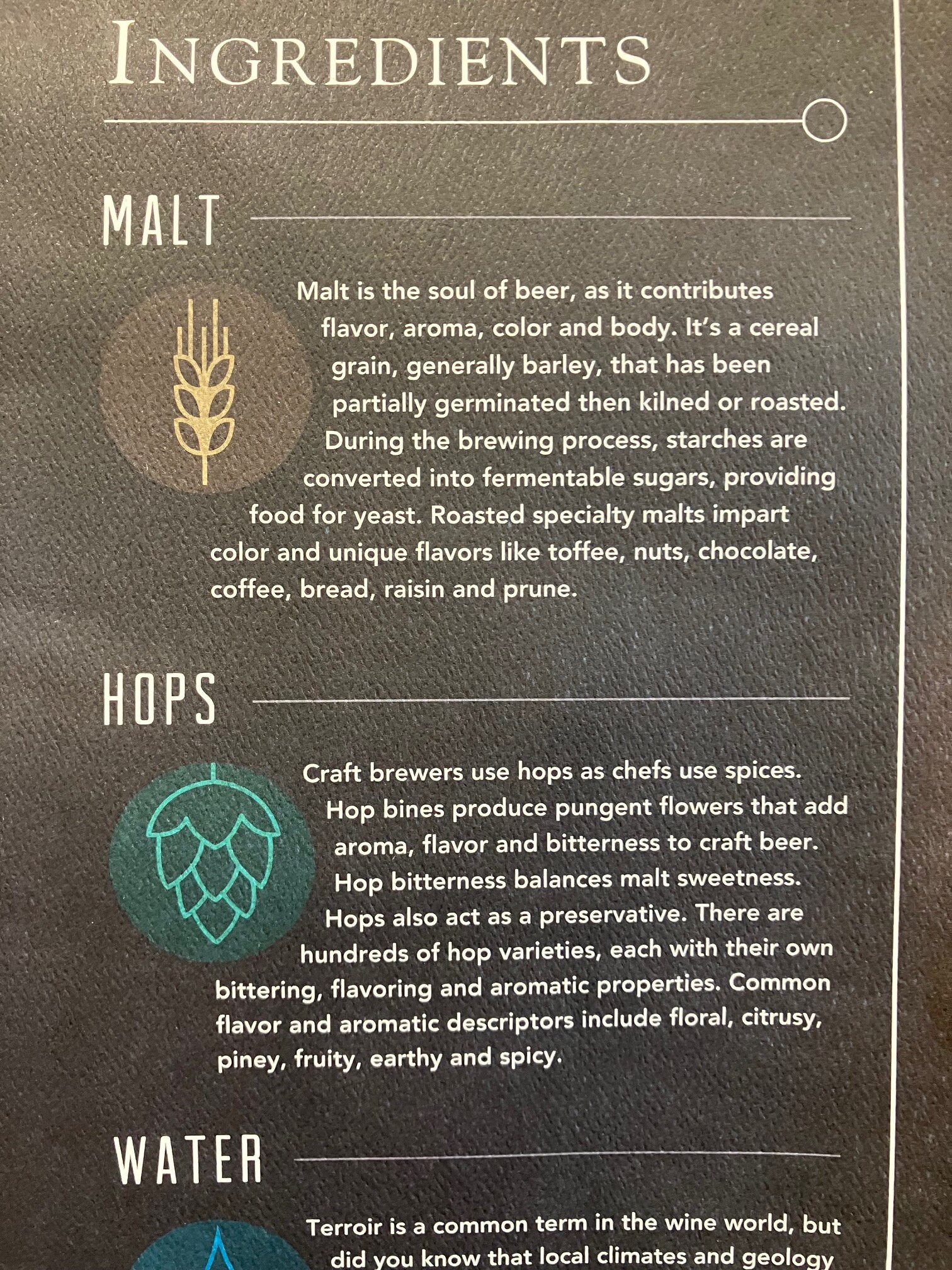 Craft Beer Poster - Etsy