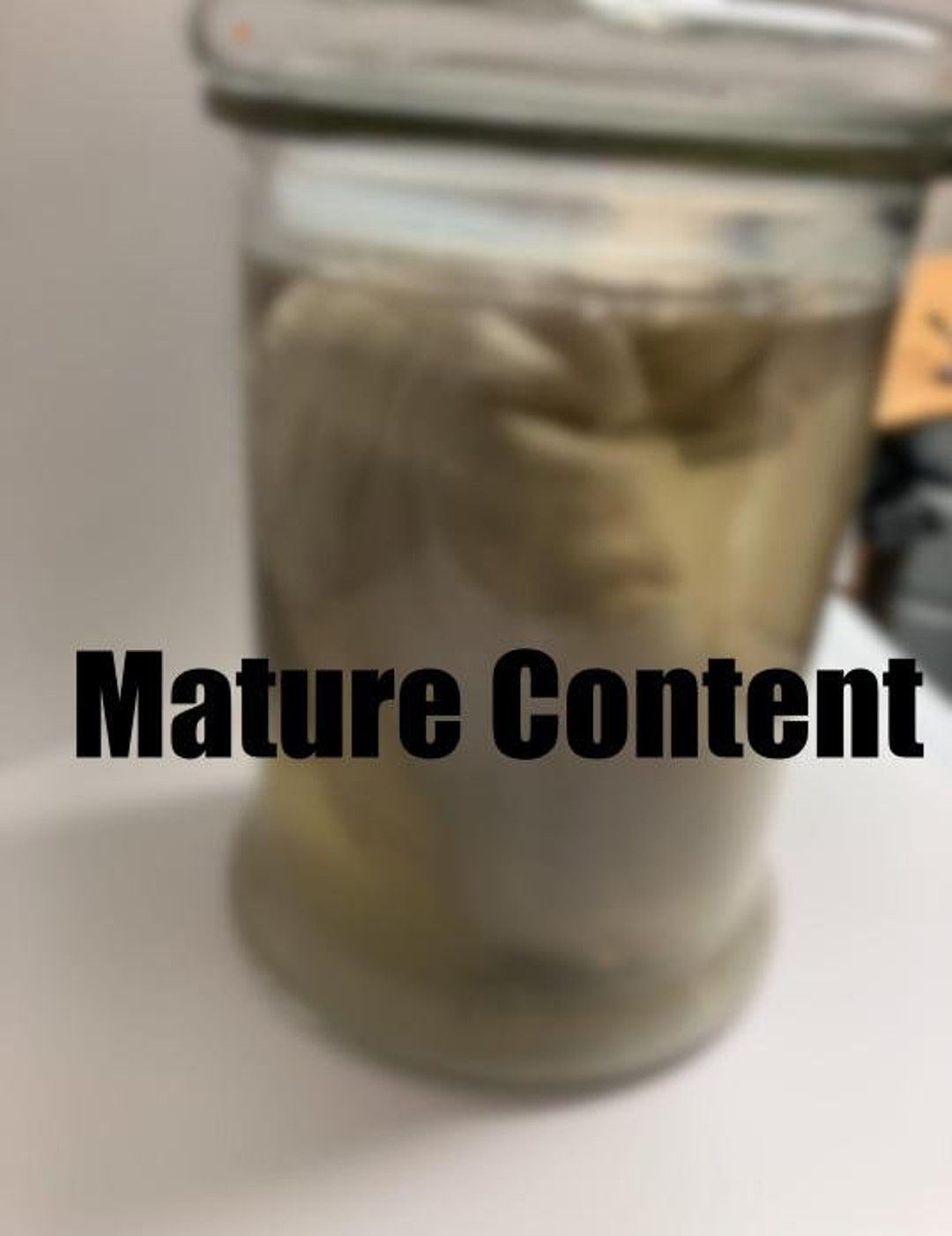 Fetal Lamb Wet Specimen Oddity Science Without Jar - Etsy