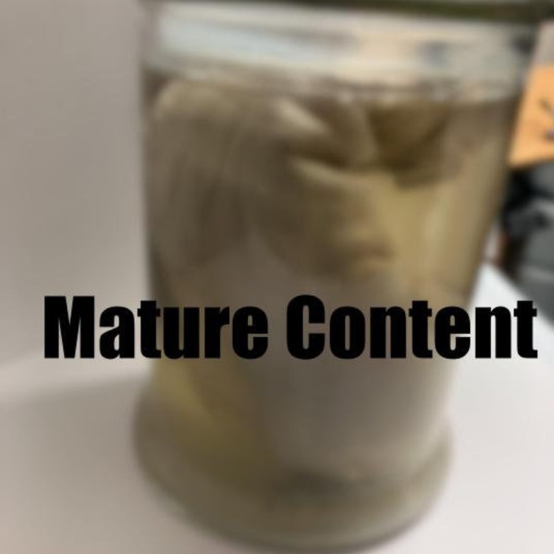 Wet Specimen - Etsy