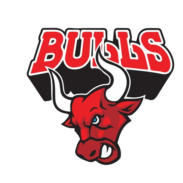 Bulls - Etsy