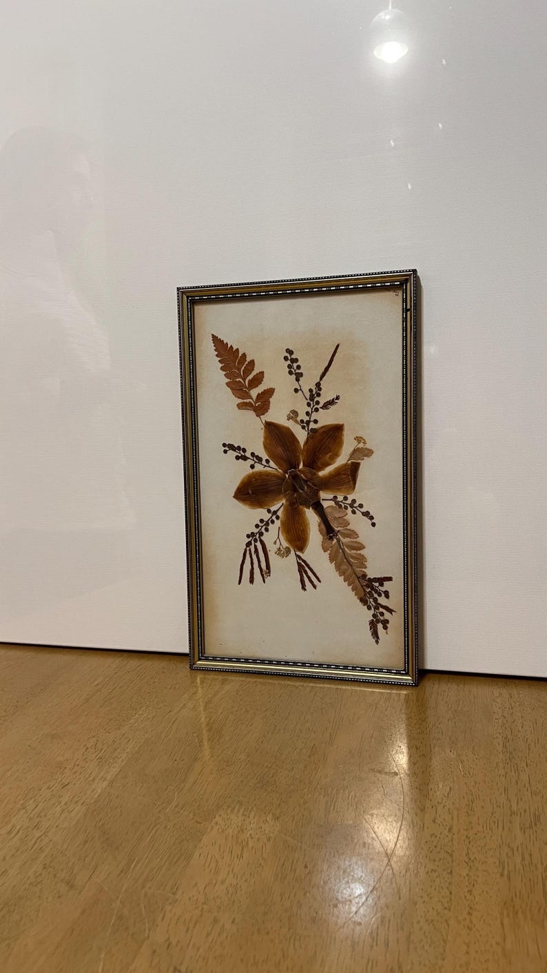 Vintage 1978 Signed Dried Flower Collage – Framed Botanical Artwork - Etsy