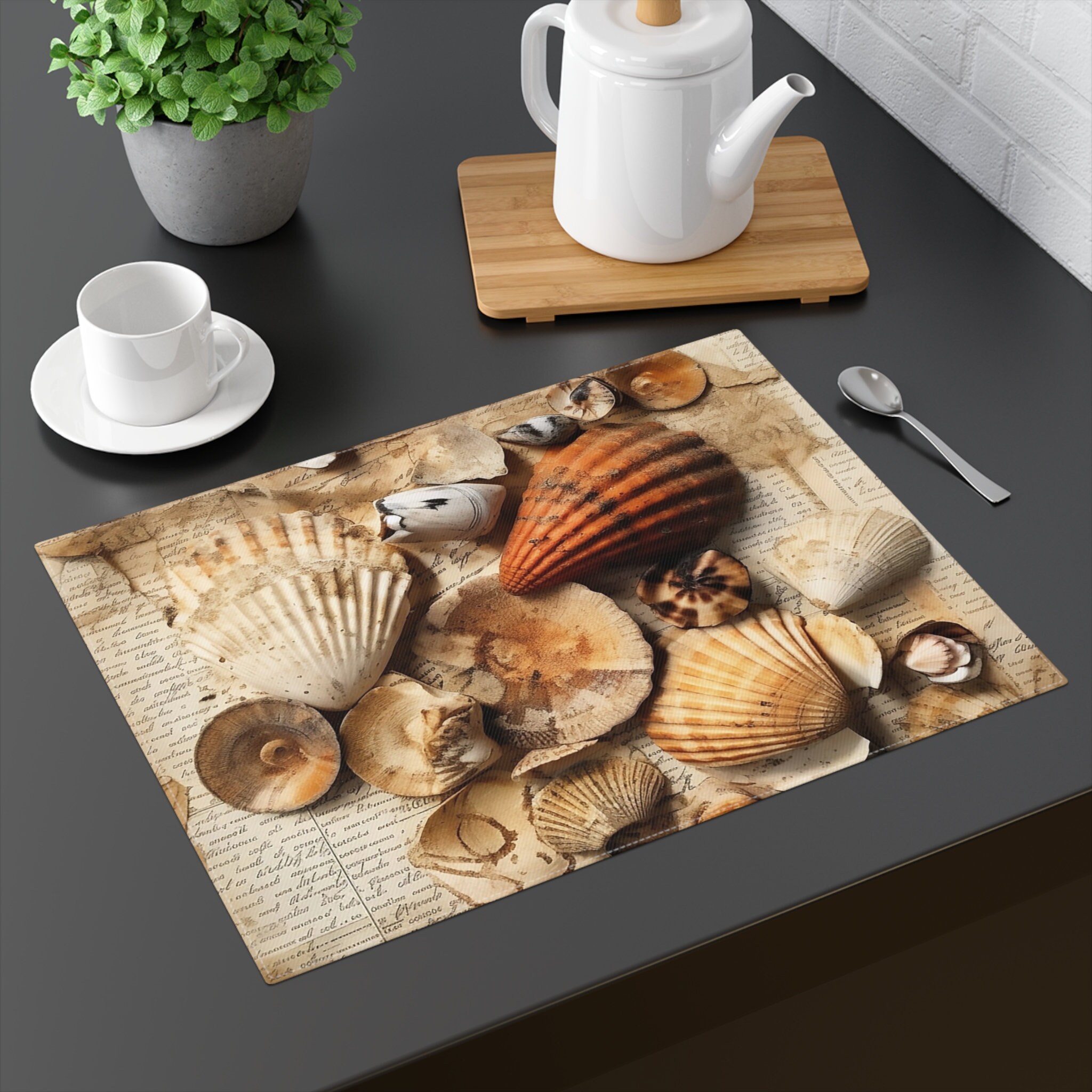 Seashell Collection 1, Digital Download, Commercial, Personal Use ...