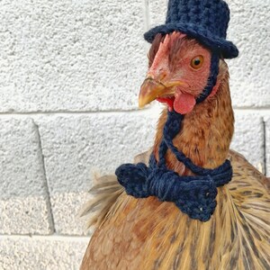 Crochet Chicken Top Hat & Bow Tie Pattern (PDF Download) - Etsy