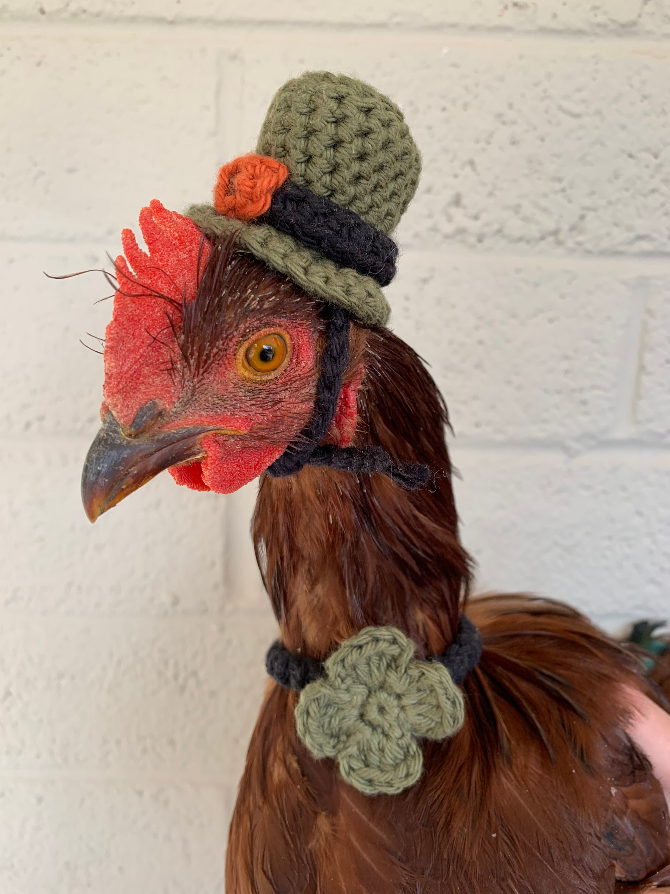 Crochet Pattern Chicken Cowboy Hat Chicken Hat Chicken Lover Gift Easy ...