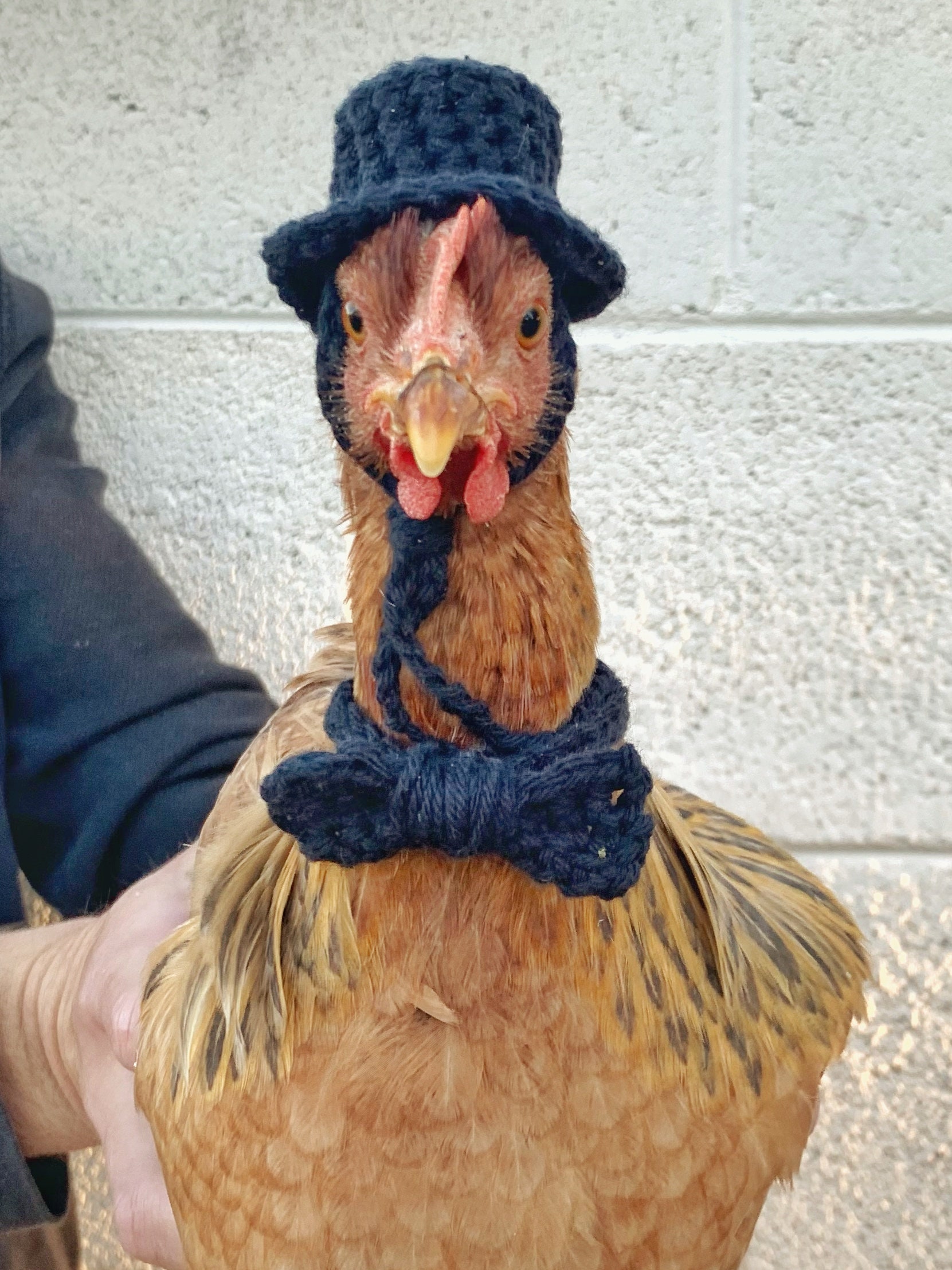 Crochet Pattern Chicken Cowboy Hat Chicken Hat Chicken Lover Gift Easy ...