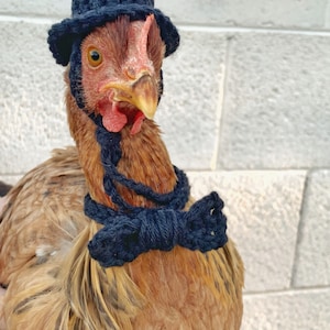 Crochet Chicken Top Hat & Bow Tie Pattern (PDF Download) - Etsy