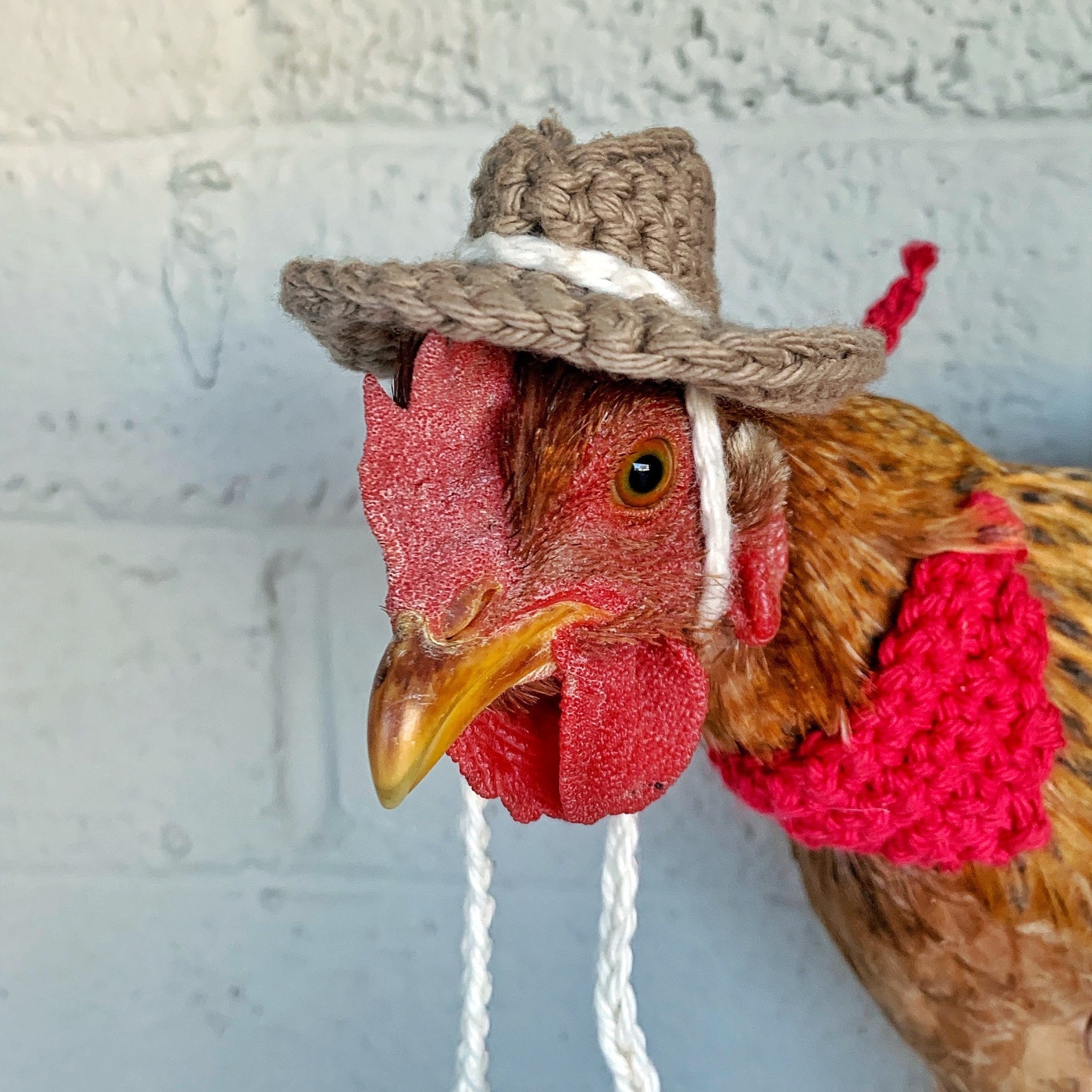 Crochet Pattern Cowboy Hat Chicken Hat Crochet Pattern Hat for Chicken ...