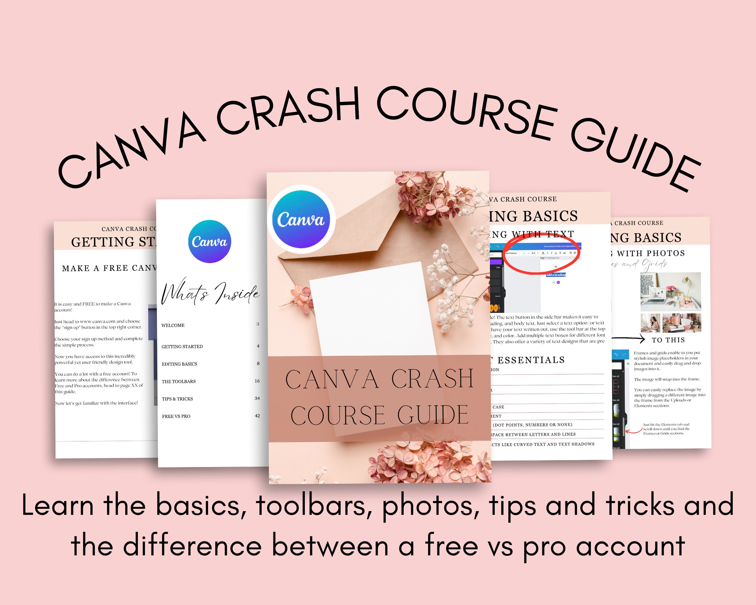 Canva Crash Course Guide How to Use Canva PDF Ebook - Etsy