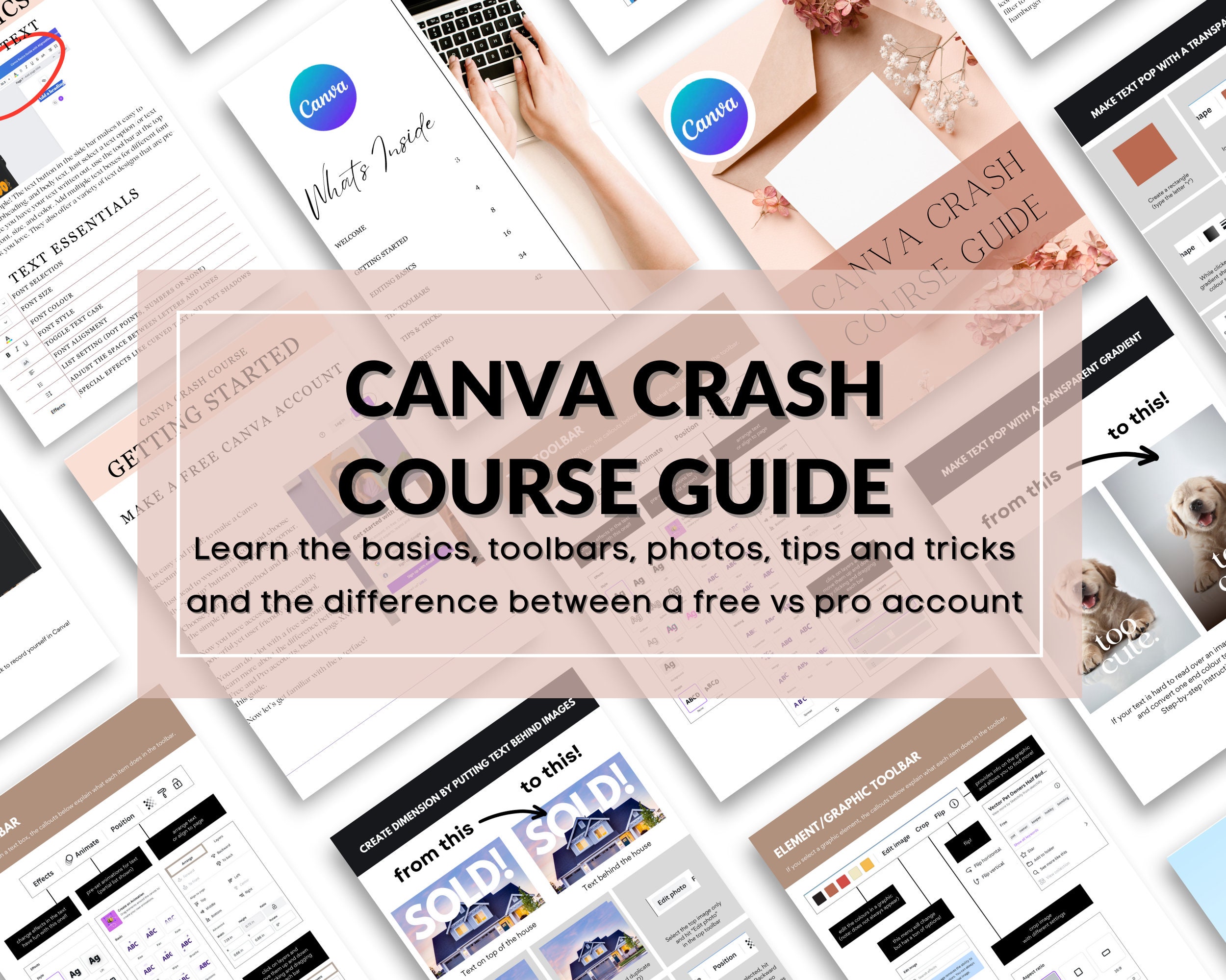 Canva Crash Course Guide How to Use Canva PDF Ebook - Etsy