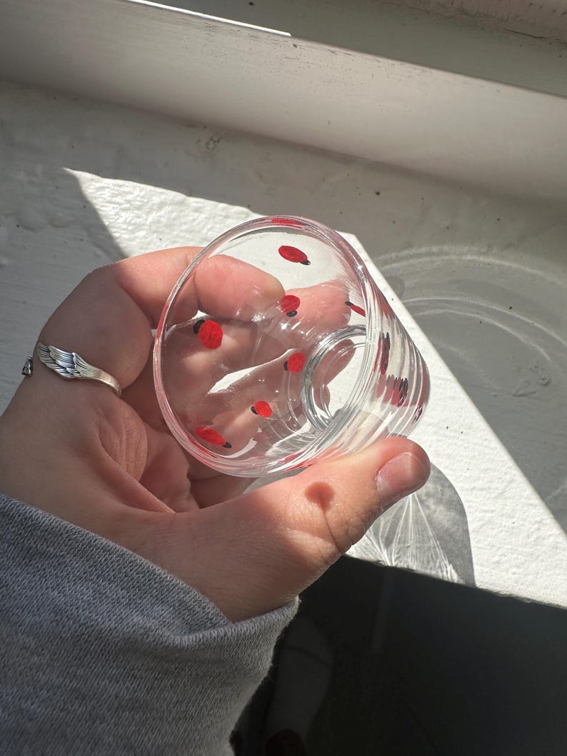 Lady Bug Shot Glass - Hand Painted - Etsy