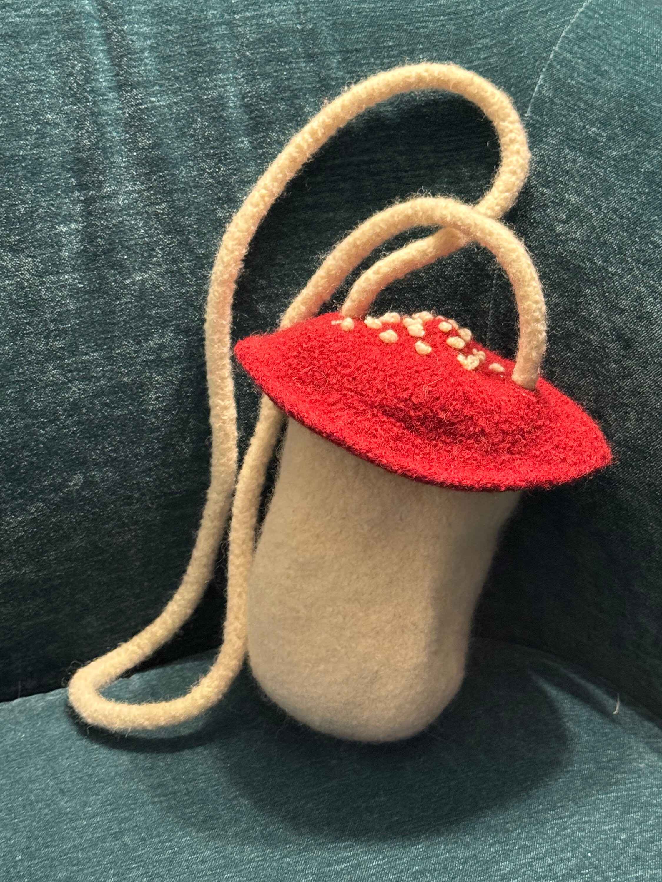 Hand Knit Felted Mushroom Purse, Amanita Pouch - Etsy