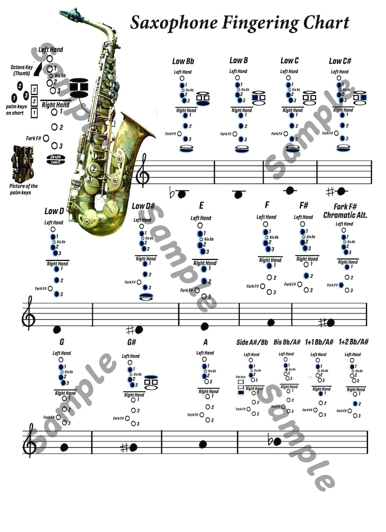 Full Range Alto Sax Fingering Chart - From Low Bb to Altissimo D# (very ...