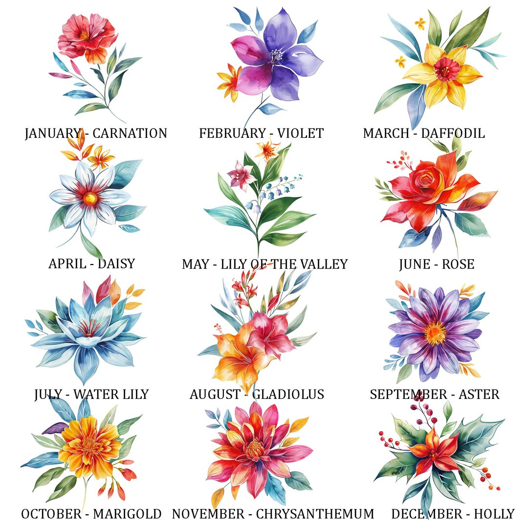 Flower Bundle Floral Watercolor Clipart 36 Files JPG, PNG, SVG Instant ...