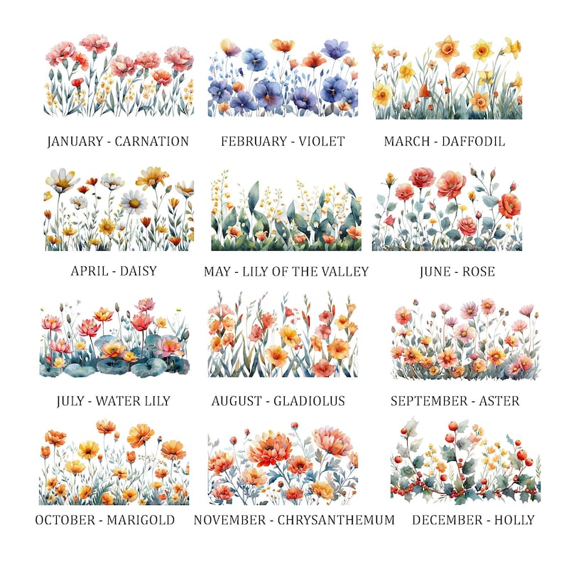 Birth Month Flower Bundle PNG SVG JPG Watercolor Clipart of 36 Floral ...