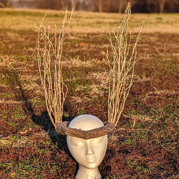 Branch Crown - Etsy