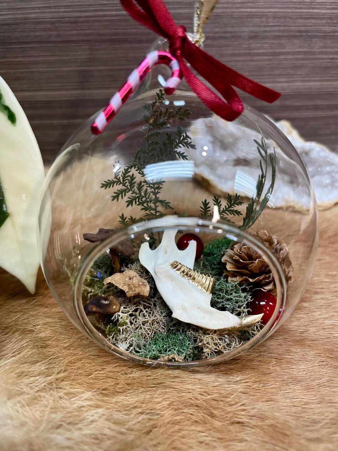 Muskrat Jaw Tree Ornament - Etsy