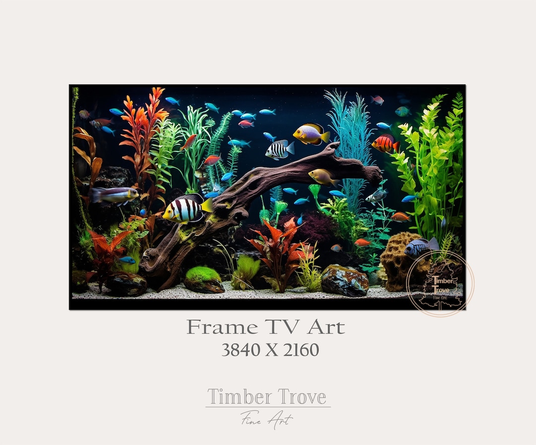 Freshwater Fish Tank - Frame TV Art DIGITAL Download - Instant Download ...