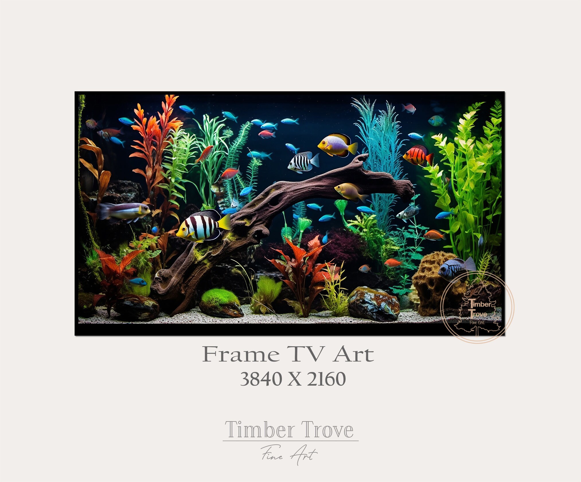 Freshwater Fish Tank - Frame TV Art DIGITAL Download - Instant Download ...