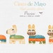 Watercolor Cinco De Mayo Clipart, Watercolor Fiesta Clipart, Fiesta ...