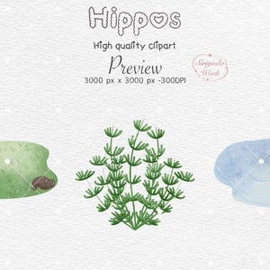 Watercolor Hippos Clipart, Baby Hippo Clipart, Kawaii Hippo ...