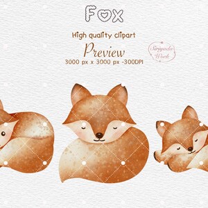 Watercolor Fox Clipart, Animals Clipart, Baby Fox PNG, Woodland Fox Png ...