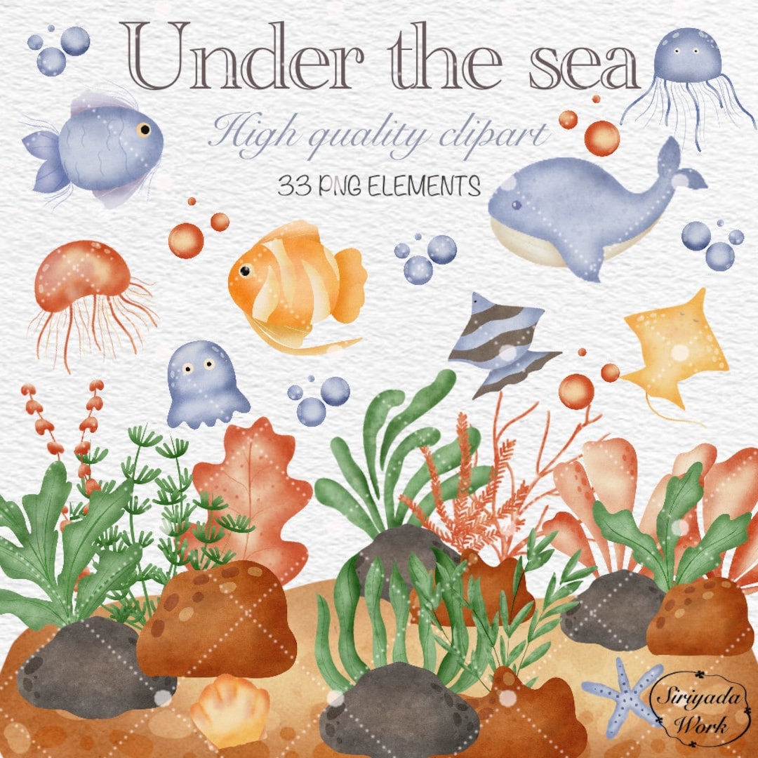 Watercolor Under the Sea Clipart, Ocean Animals PNG, Baby Shower, Sea ...