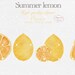 Watercolor Summer Lemon Clipart, Seasonal Clipart, Fruit Clipart, Lemon ...