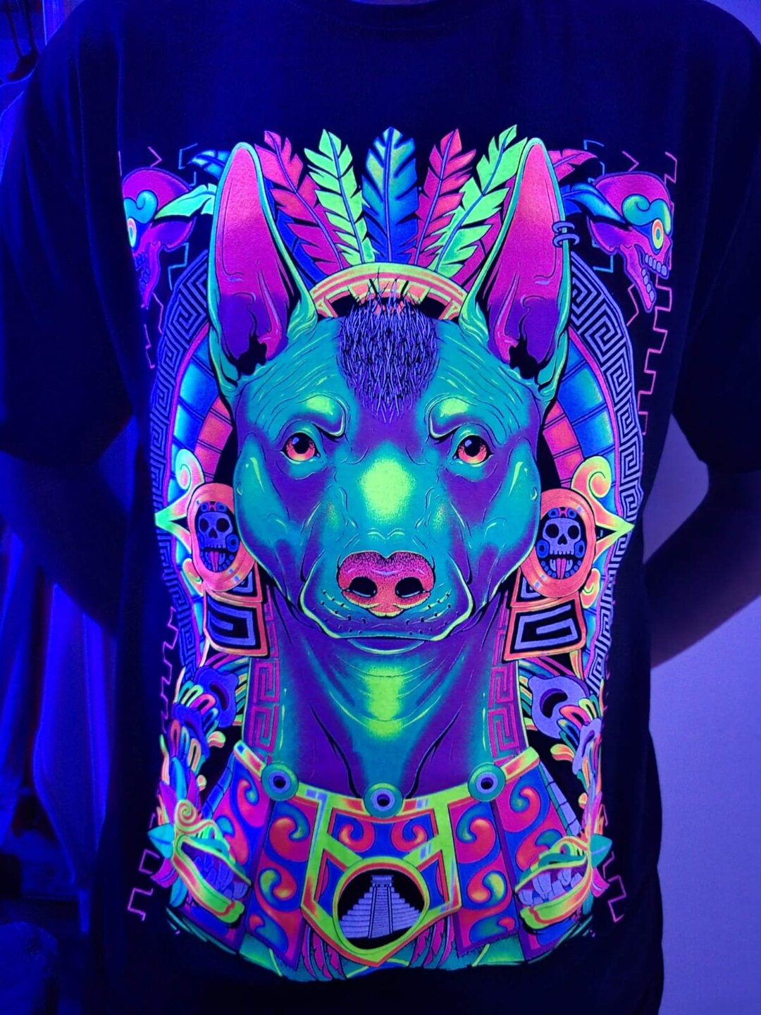 Xoloitzcuintles Azteca - Etsy