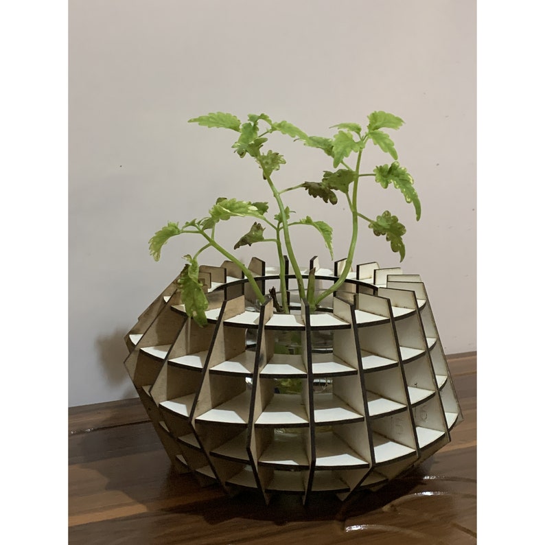 Flower Pot ,parametric Pot ,wooden Flower Pot,handmade Pot,lasercut Pot ...