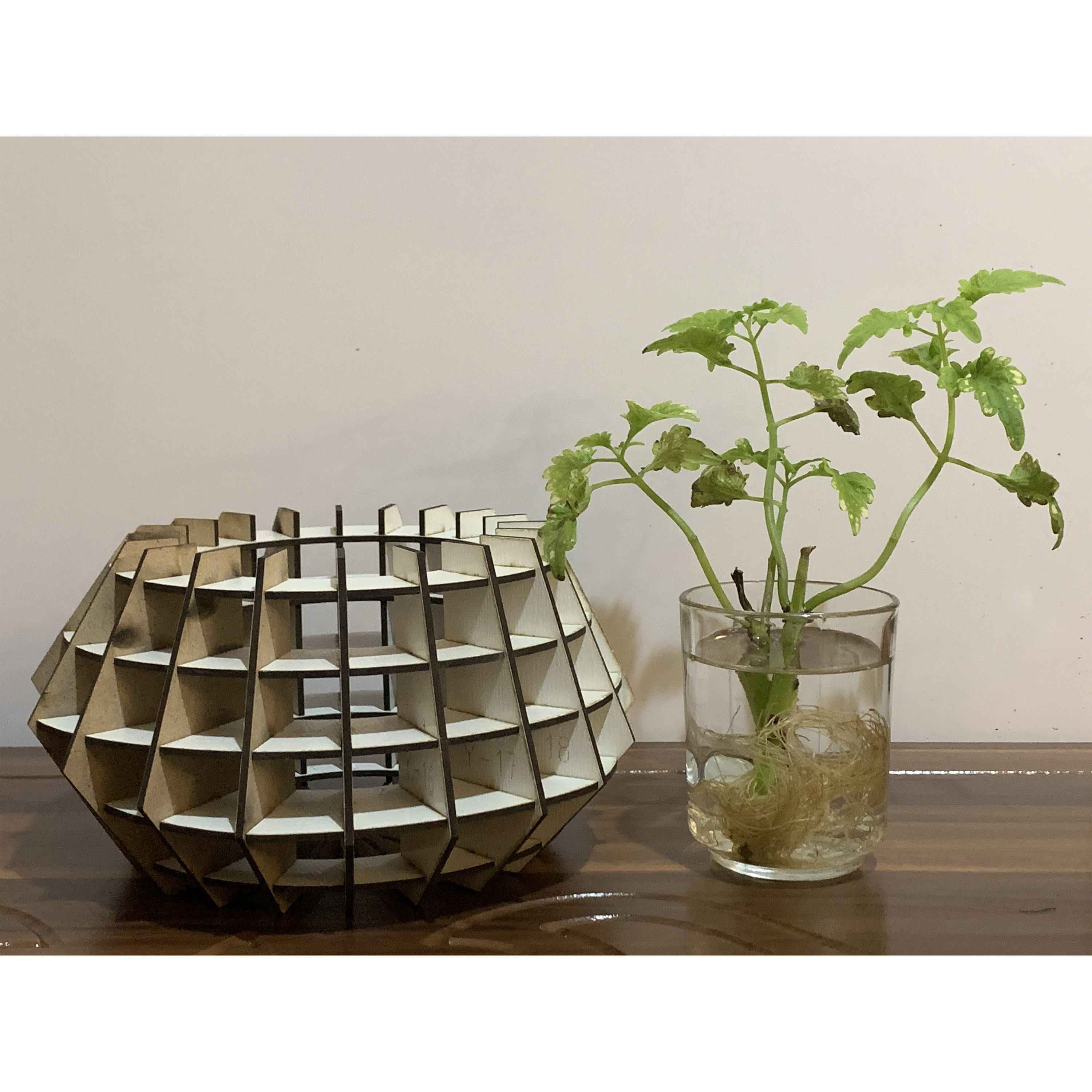 Flower Pot ,parametric Pot ,wooden Flower Pot,handmade Pot,lasercut Pot ...